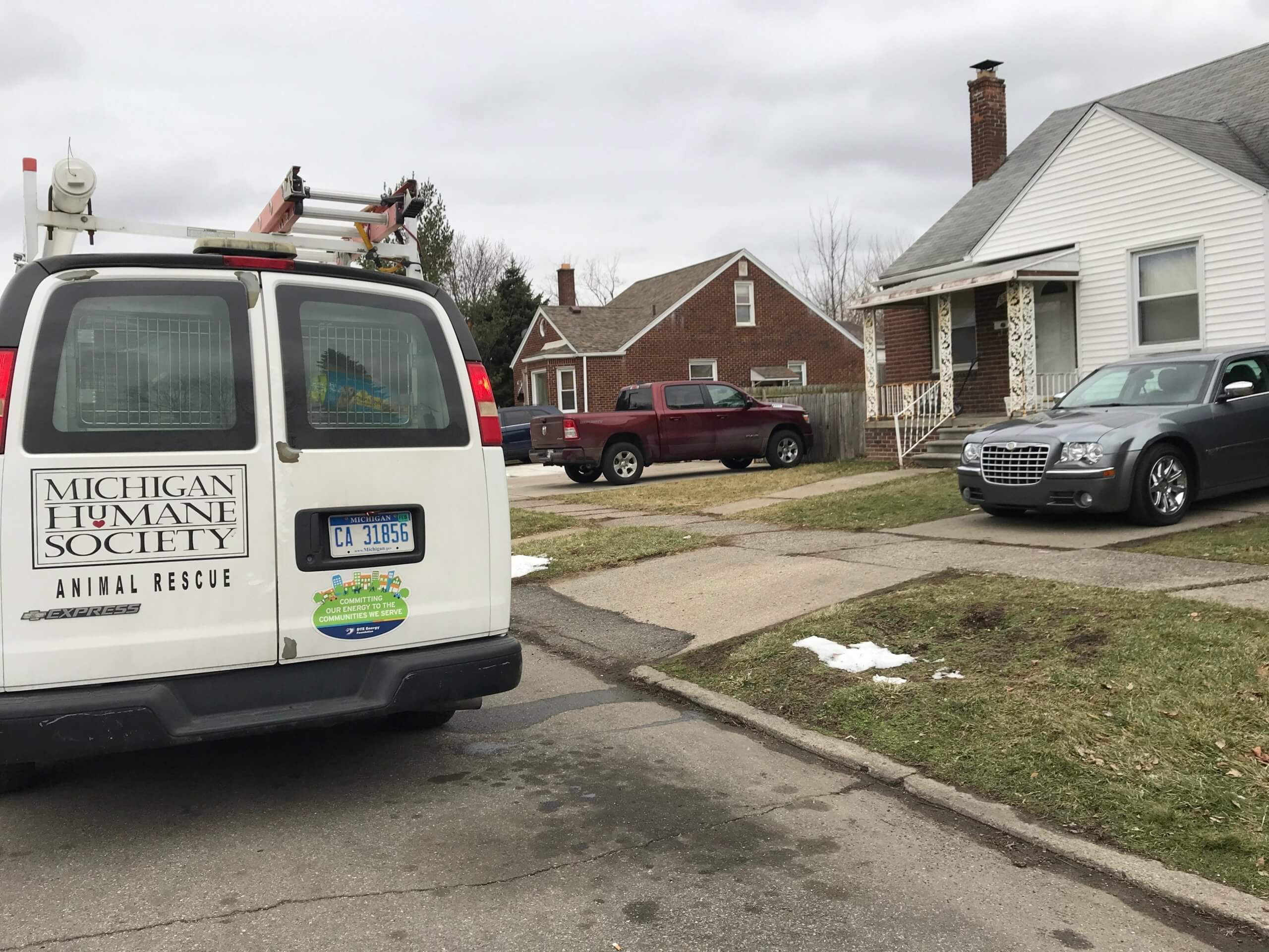 Michigan Humane Society Teams With Feds, Detroit Police to Stop Dog ...