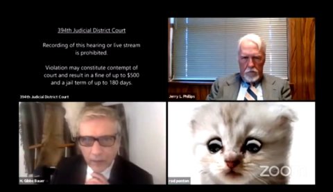 Lawyer Hilariously Stuck in Cat Filter Mode During Zoom Court Hearing ...