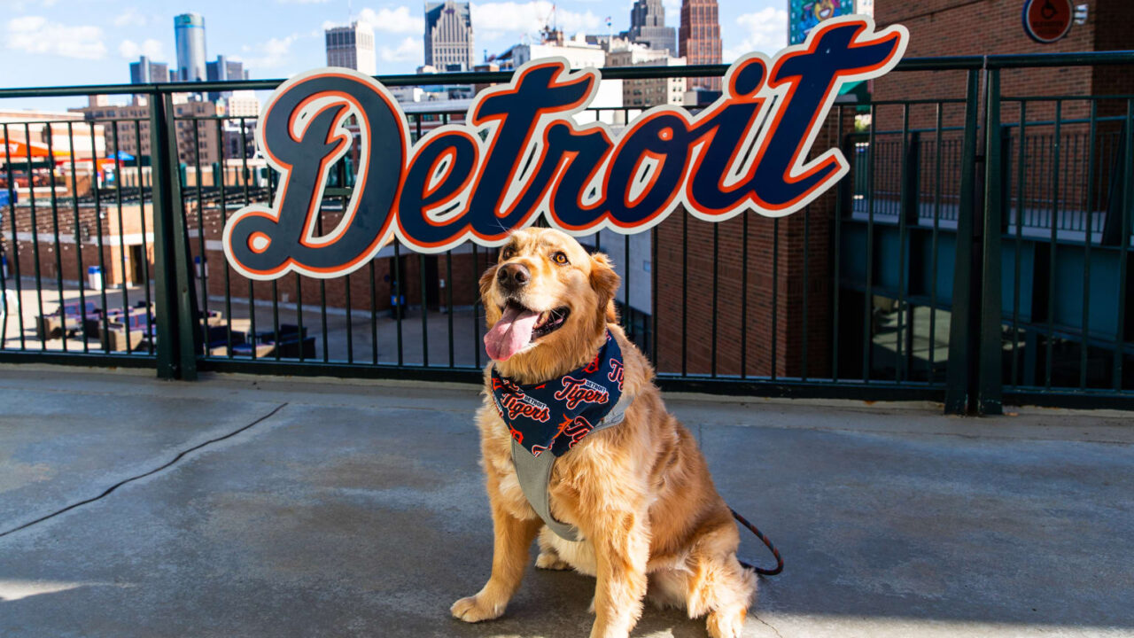 Bark in the Park - April 30 - Michigan Humane